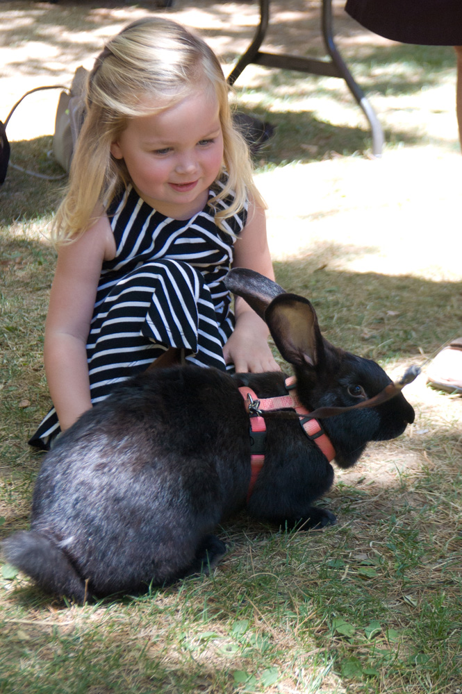 Party Extras - Fairytale Town